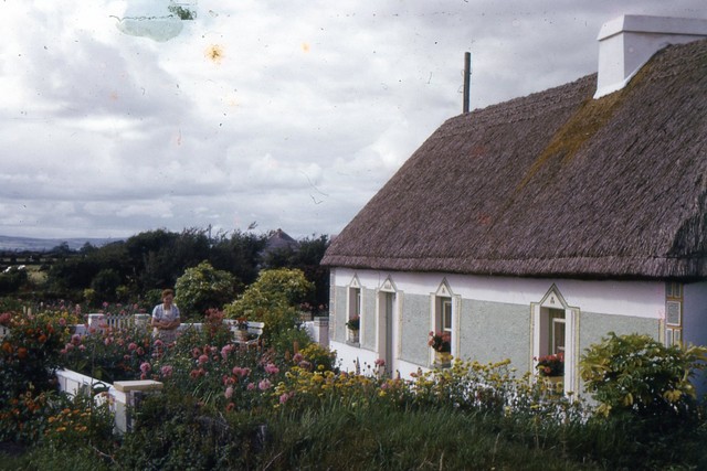 Photos from around Moyvane - Moyvane - The Middle Plain
