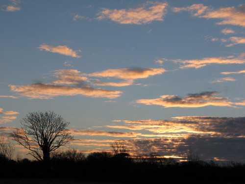 Photos from around Moyvane - Moyvane - The Middle Plain