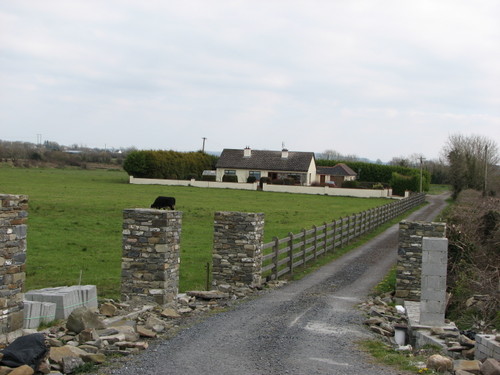 Photos from around Moyvane - Moyvane - The Middle Plain