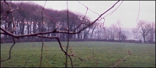 Moyvane Nature Trail & Village Walk - Moyvane - The Middle Plain